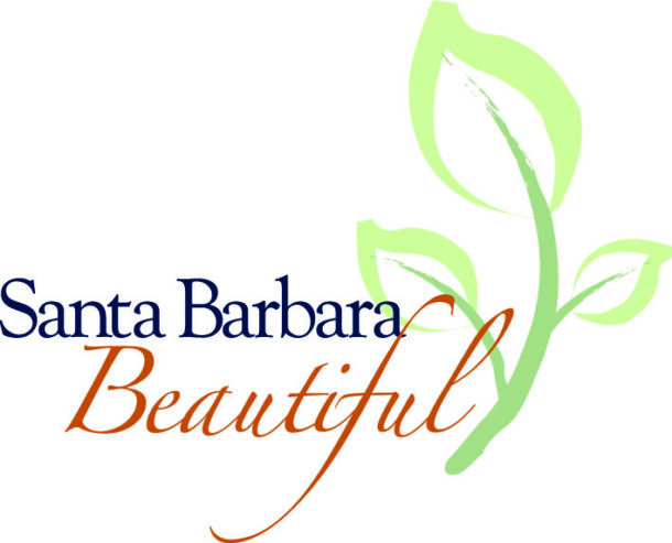 Shoestring Acacia Tree – Santa Barbara Beautiful